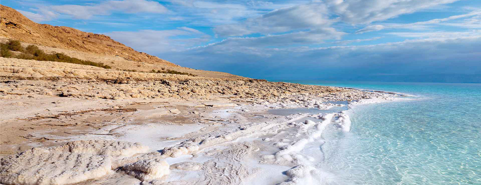 H2Ocean - All Natural Tattoo & Piercing Aftercare