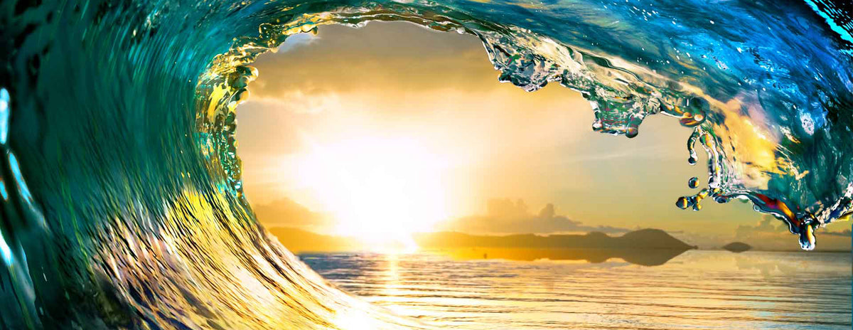 H2Ocean - All Natural Tattoo & Piercing Aftercare