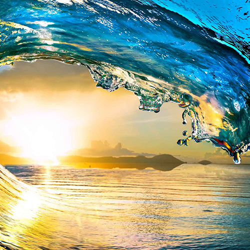 H2Ocean - All Natural Tattoo & Piercing Aftercare